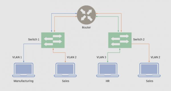 VLAN Types: A Detailed Guide to Virtual LANs